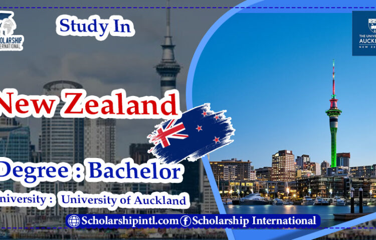 Rae Hammer Memorial Prize History Bachelor In New Zealand