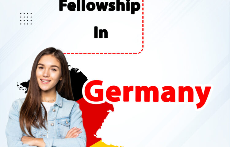 DLR - DAAD Research Fellowship - Scholarship International