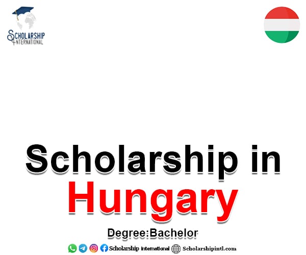 HIIA Future Leaders Program 2025 in Budapest In Hungary - Scholarship International