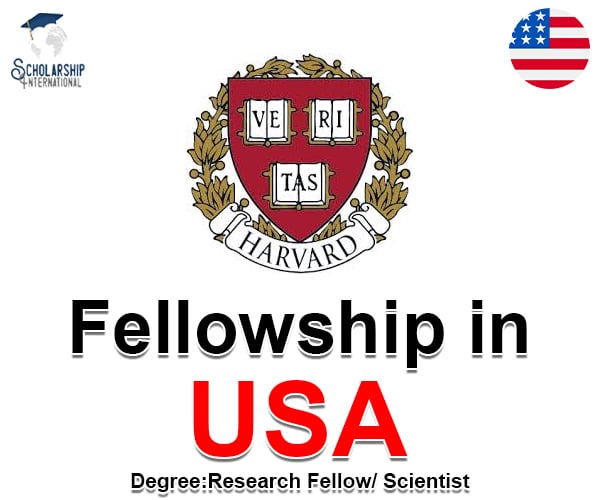 The Environmental Fellows Program at Harvard University 2026 In USA ...